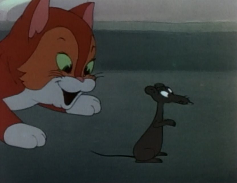 The Lost Continent: Animaland: The House Cat