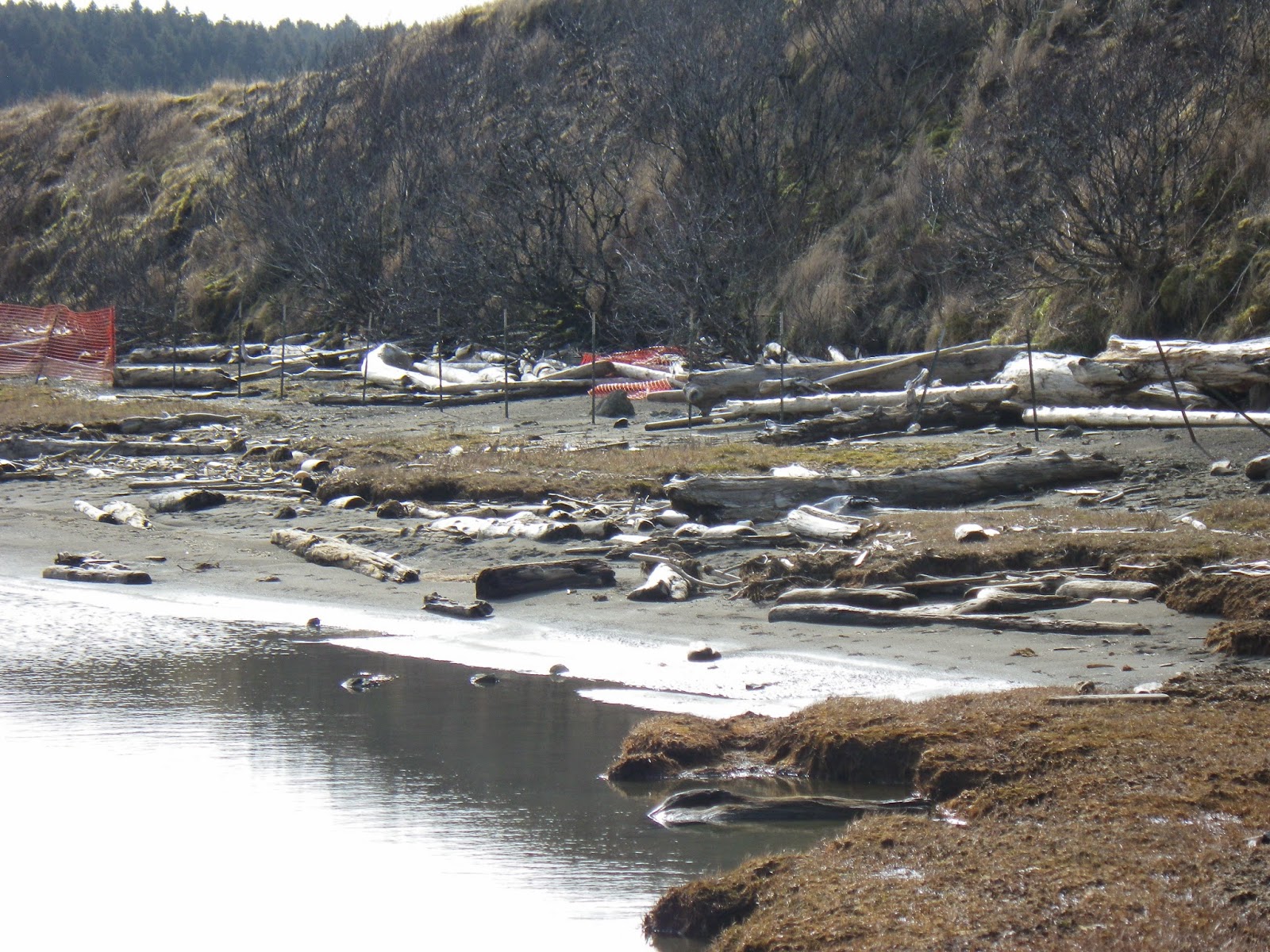 SPACE PORK KODIAK: Pacific Spaceport Complex Alaska / Alaska Aerospace ...