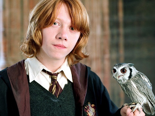 Wizarding World: Ronald Weasley