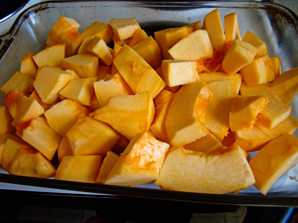 Rurification | Robin Edmundson: Pumpkin Harvest