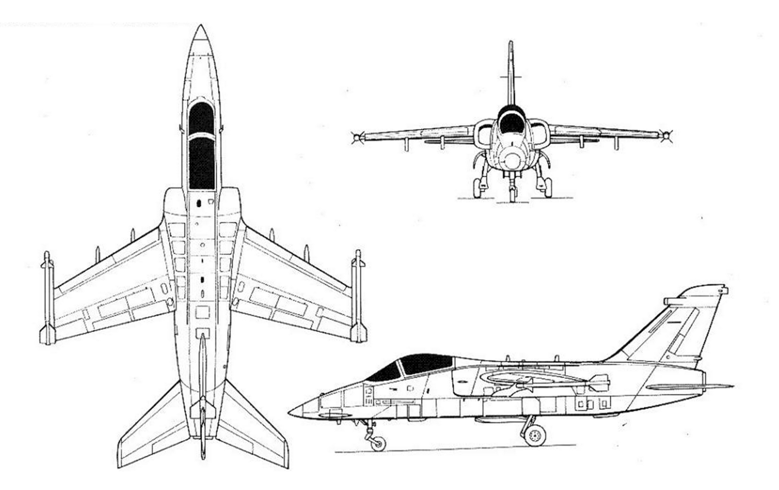 MODEL NEWS: AERITALIA-AERMACCHI-EMBRAER AMX 1/48 WARRIOR MODEL