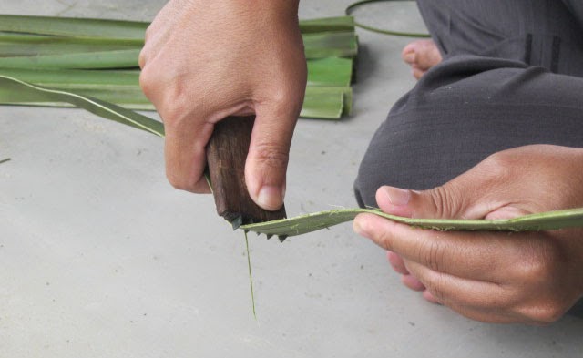 KAMPONG SEMERBOK KU NAN TUO کامڤوڠ سمربوک کو نن تواو: ANYAMAN MENGKUANG ...