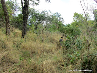Walking the Cape: Lower Zambezi: Chongwe Falls