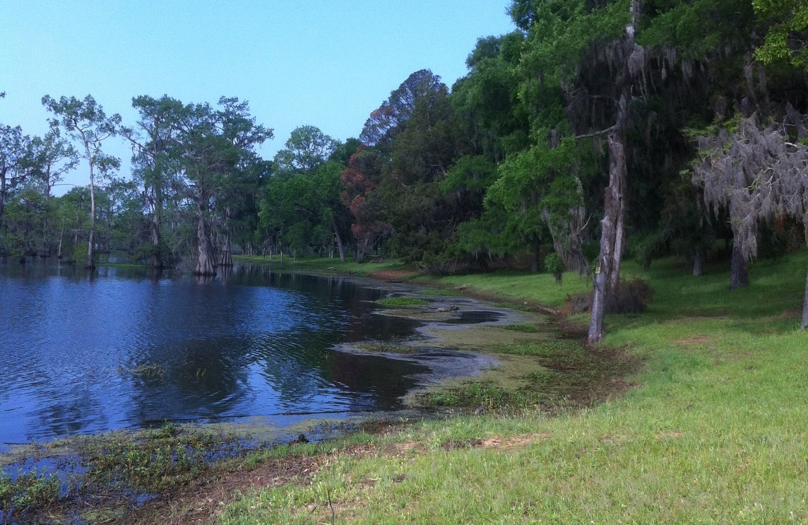 The Gypsy Boho Freedom Express: JIMMIE DAVIS STATE PARK - CHATHAM, LA