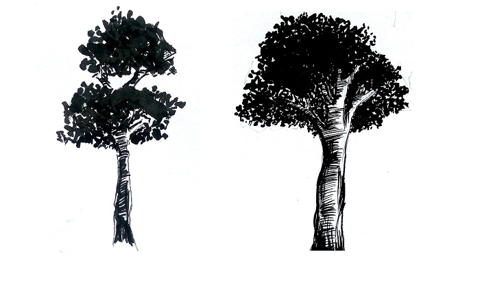 Cara menggambar pohon MUDAH & SIMPEL - MAYAGAMI