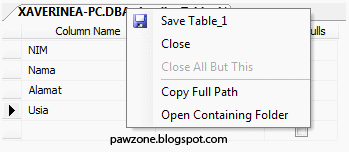 Membuat Databaset di SQL Server Management Studio 2008 ~ PAW | programming-animation-website