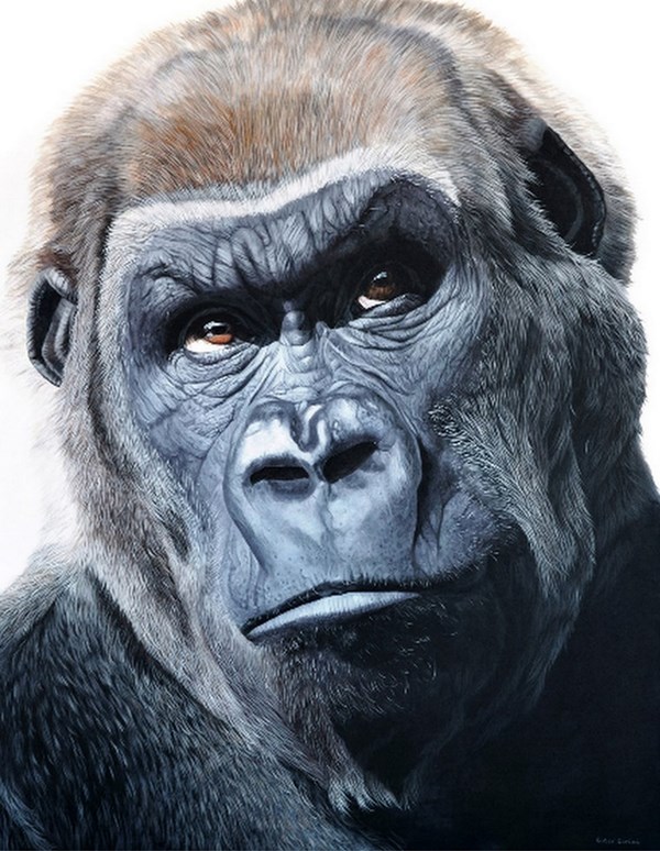 El arte es su máxima expresión : Fotos de cuadros de animales pintados ...