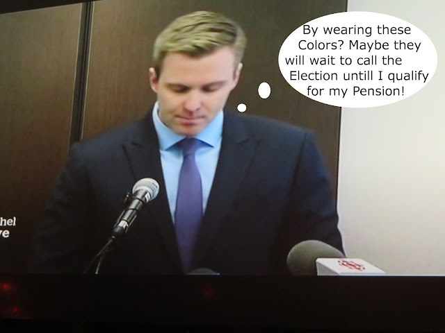 Charles Leblanc's Other Blog: Colors could be good for former New ...