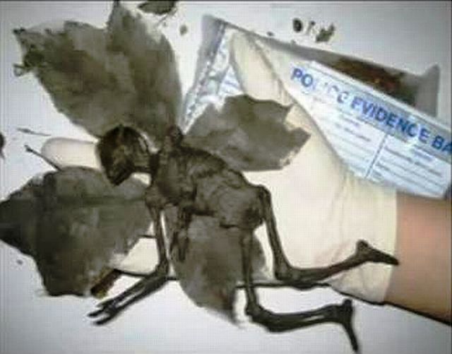 Flying and Underwater Humanoids