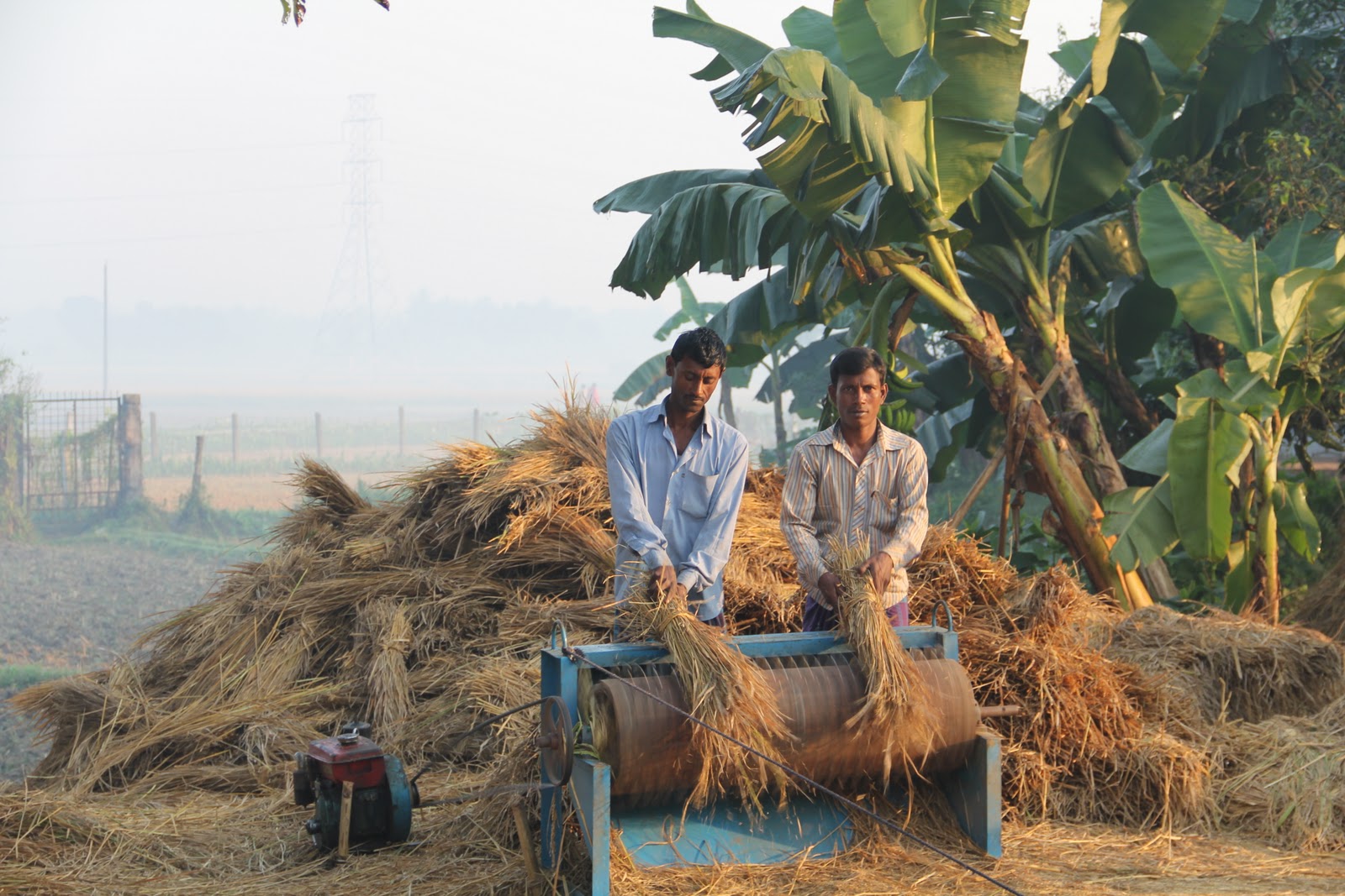 (PDF) Designing a Small-Scale Grain Harvester: A Tool for Urban ...