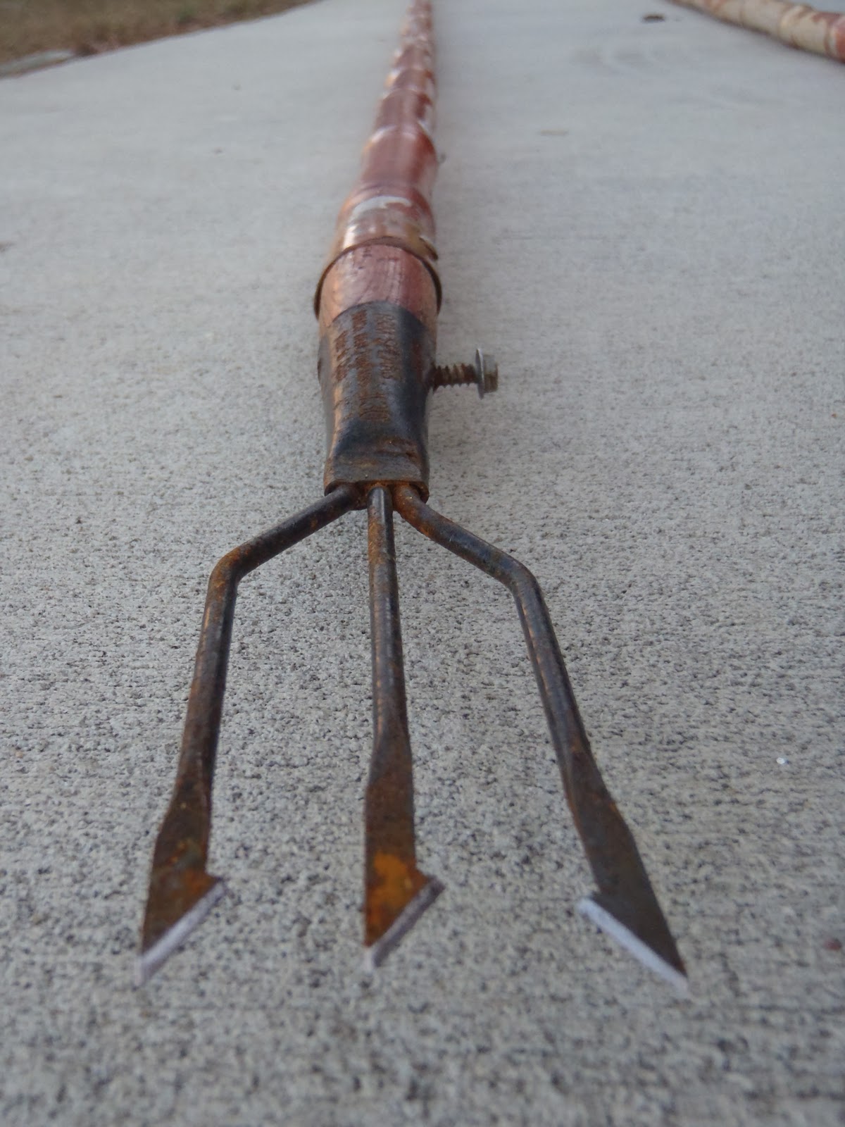 Beer, Banjos, Boats, and Biology: Gear for Gigging