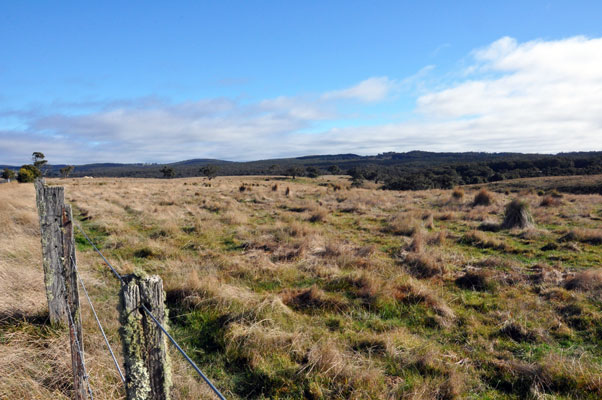 a bit of everything: Road Trip (Ballan to Mt Egerton)