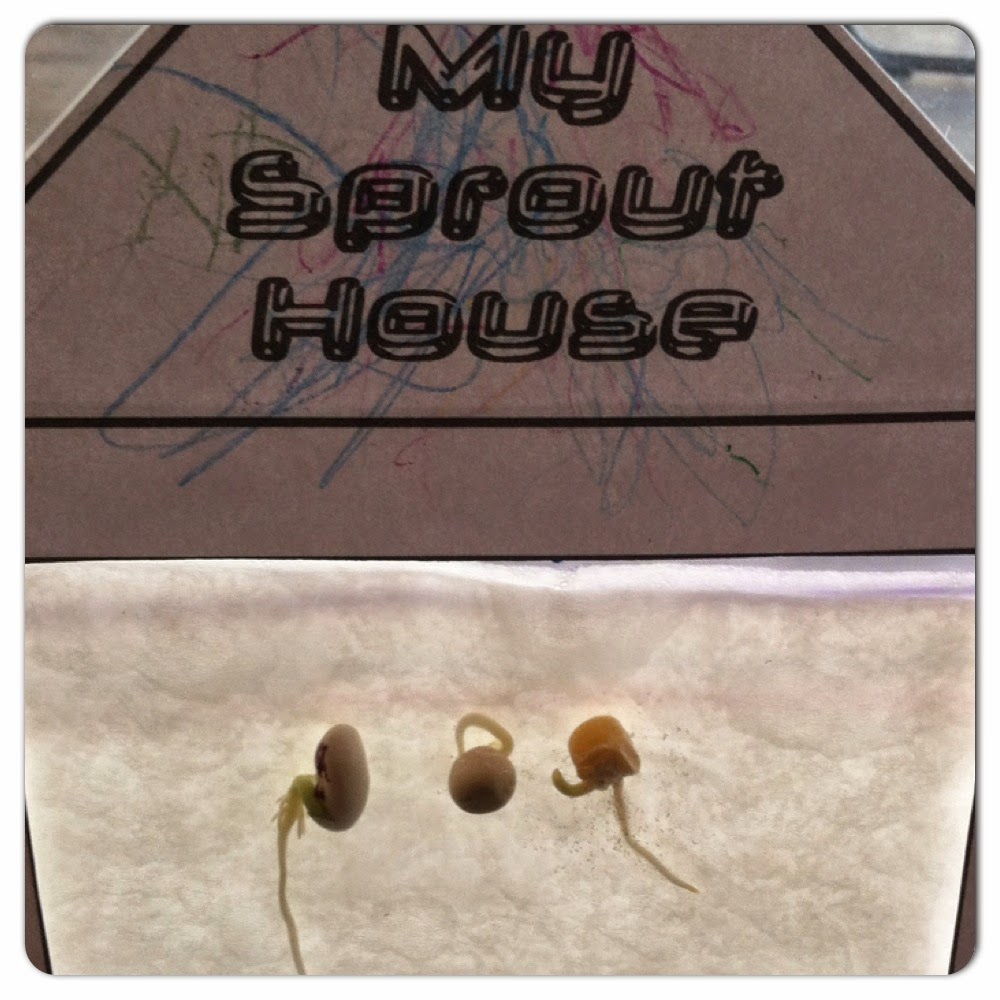 Crafts for Kids' Minds: My Sprout House