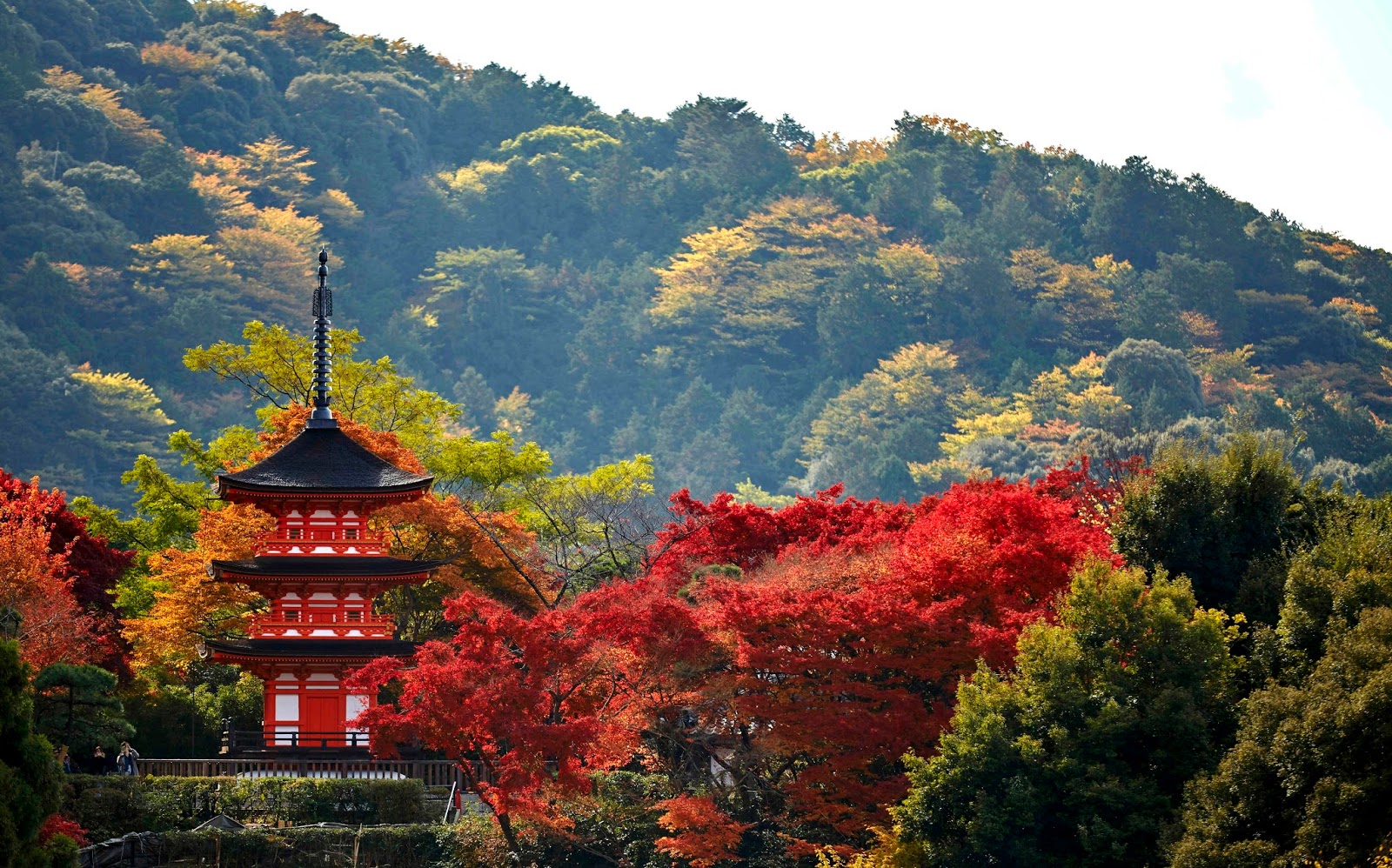 Travel & Adventures: Kyoto ( 京都 ). A voyage to Kyoto, Kansai, Japan, Asia.