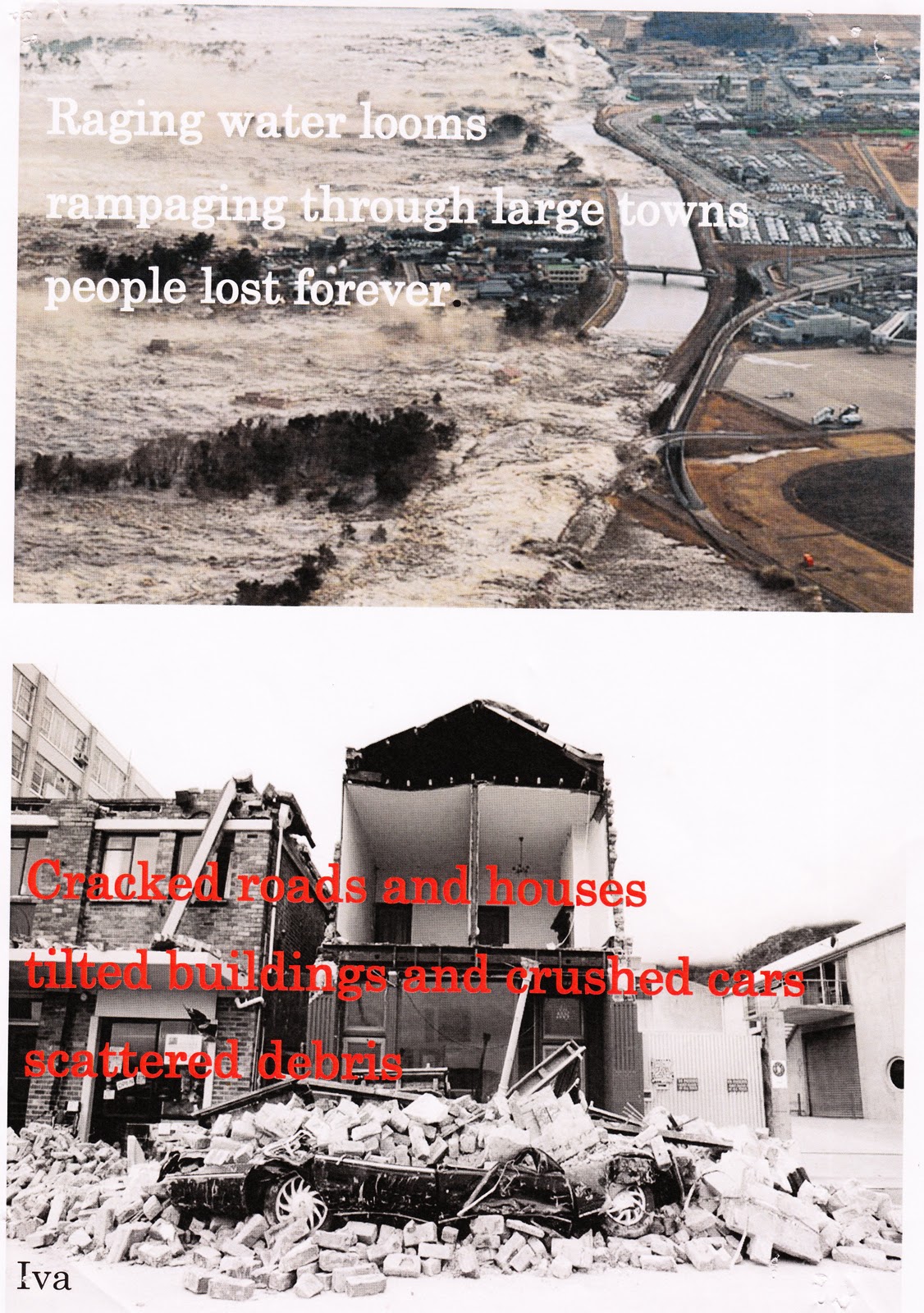 Room 10 Tokoroa Intermediate: Haiku, Survival Island and the Bey Blade ...