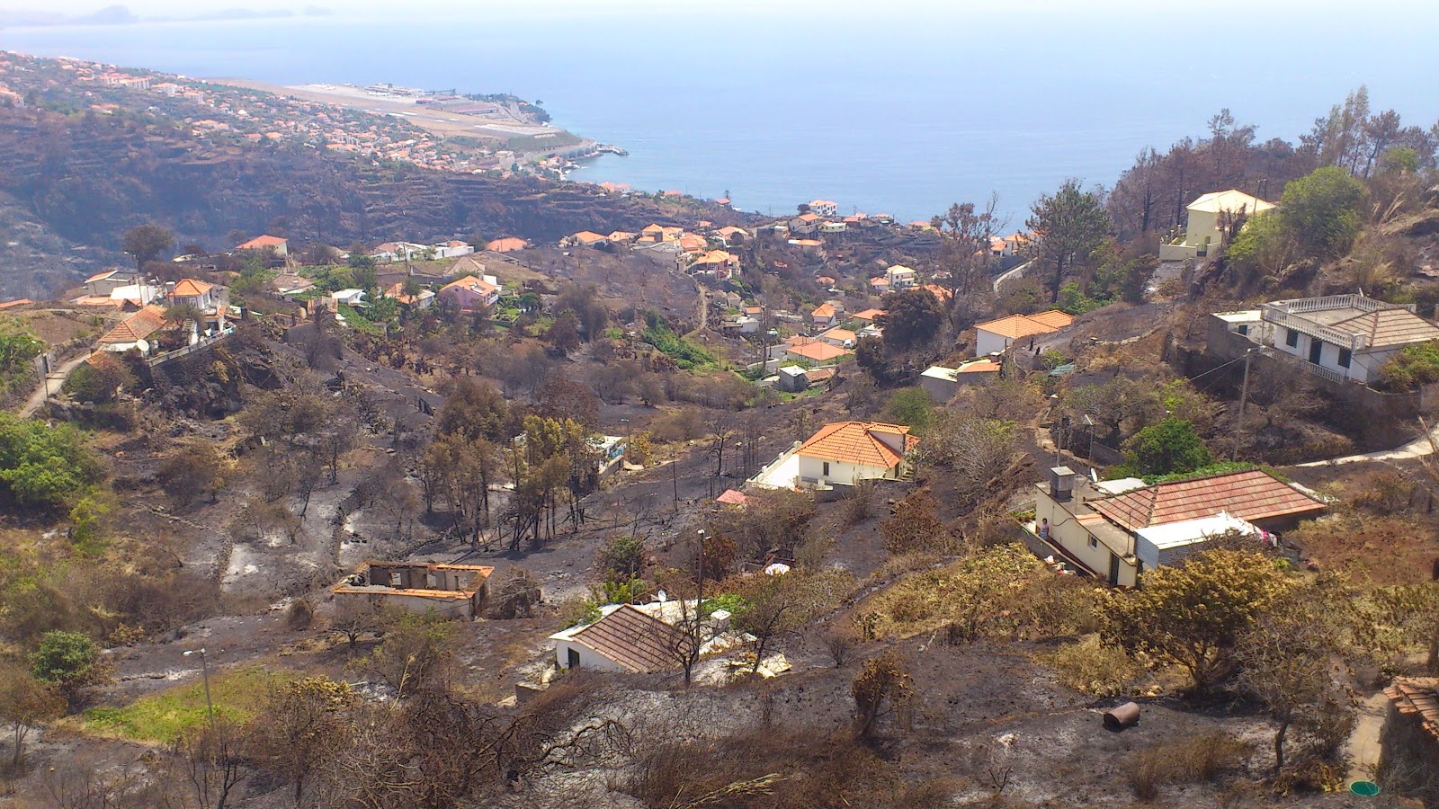 o Cantinho do Mundo: Gaula, em imagens!