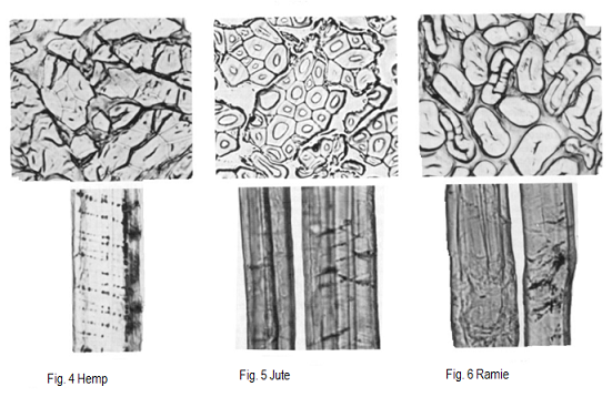 A Review Paper on Textile Fiber Identificationiosrjournals.org/iosr ...