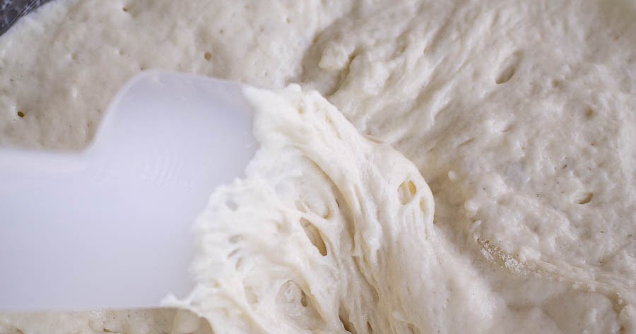 Prefermento sencillo y rápido — Thermofan