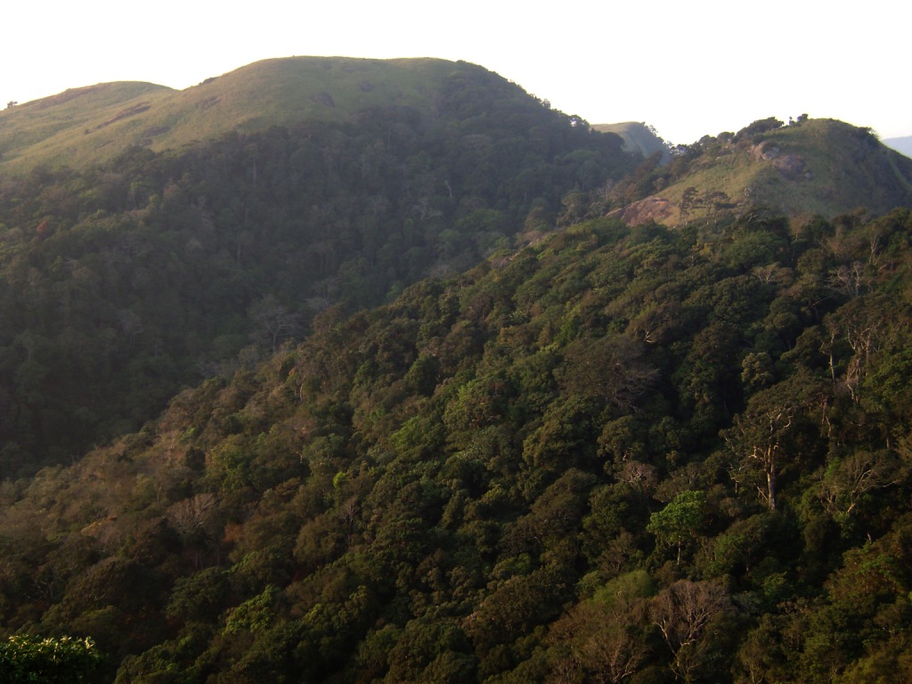 Nature Enthus - DLC : Rajathottam - The Ruler's Choice