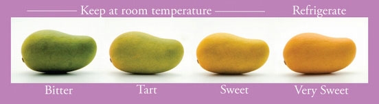 Bountiful Meals: Small Yellow Mango