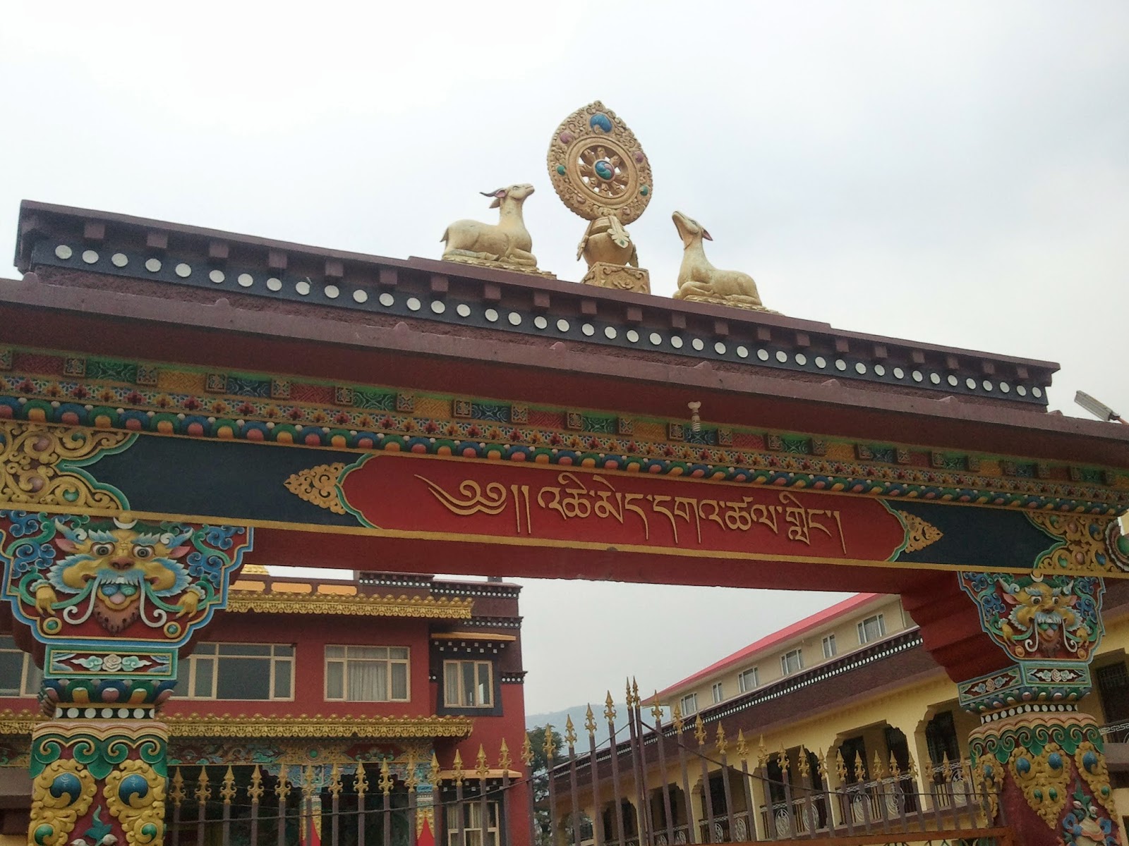 Journey Without Goal: One day pilgrimage around Dharamsala: Khamtrul ...