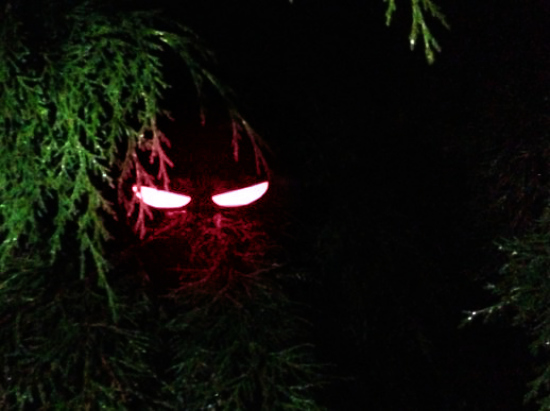 Phantoms and Monsters: Pulse of the Paranormal