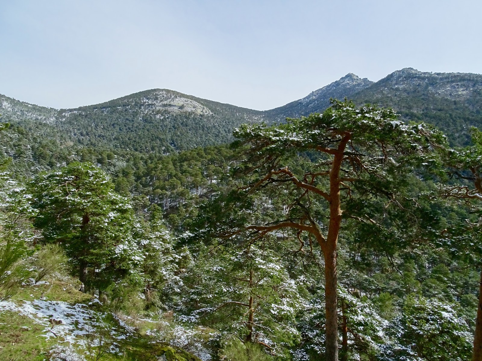 El blog de Javier Atrio: Valle de la Fuenfría