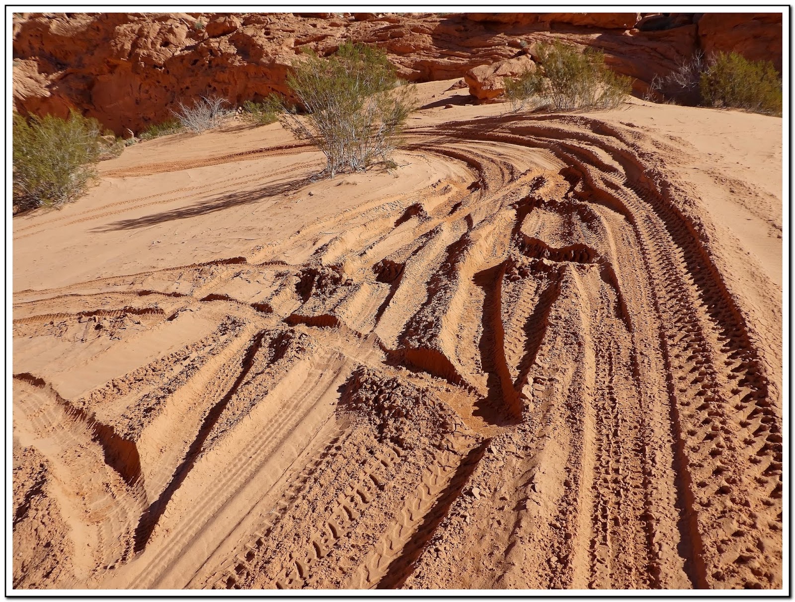 Ken's Photo Gallery: Logandale Trails Recreation Area - Summary Page