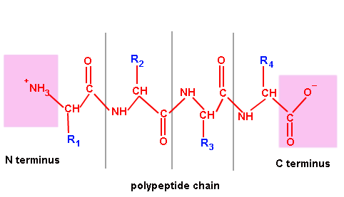 CLASSIFICATION OF PROTEINS BASED ON PHYSIOCHEMICAL PROPERTIES ...