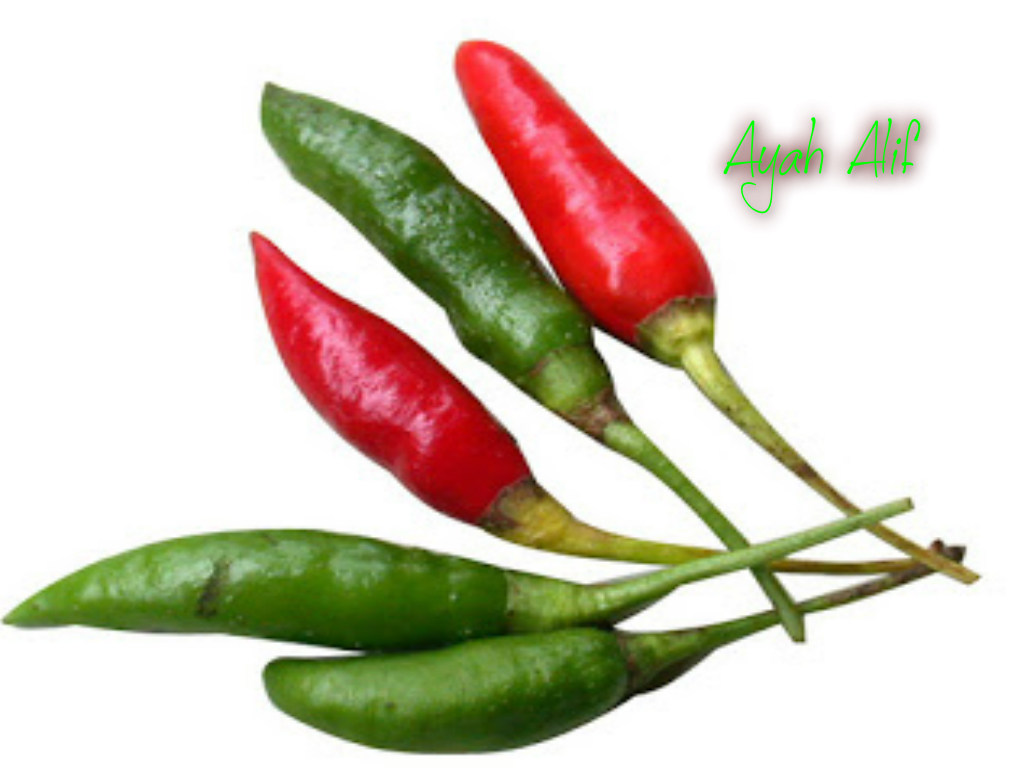 Konsep 21+ Cabe Hijau Kartun