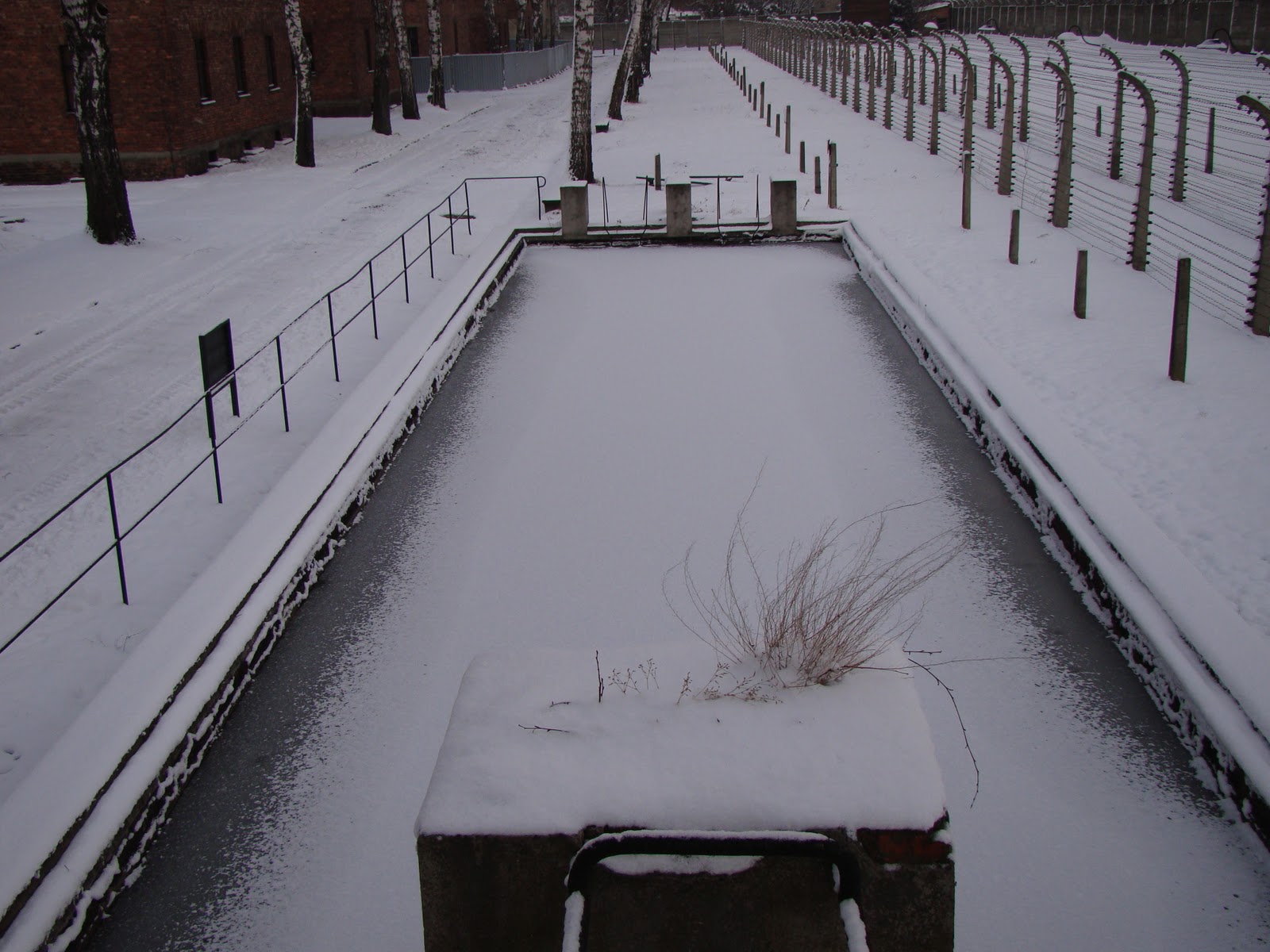 Auschwitz 2012: Auschwitz 1: The Swimming Pool