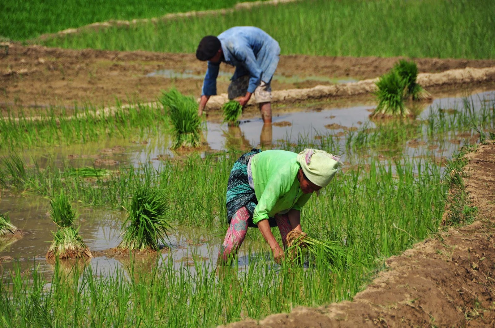 Cambodge, Laos, Vietnam - Ouest Américain (2014): Circuit du nord-est ...