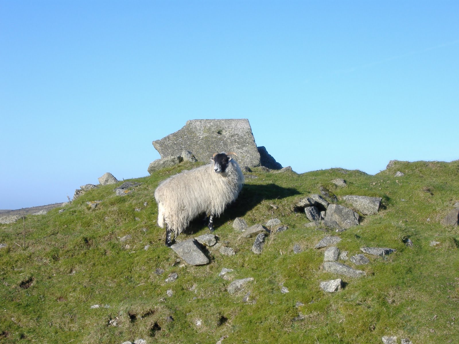 MRS DARLEY: The Roman Festival of Lupercalia