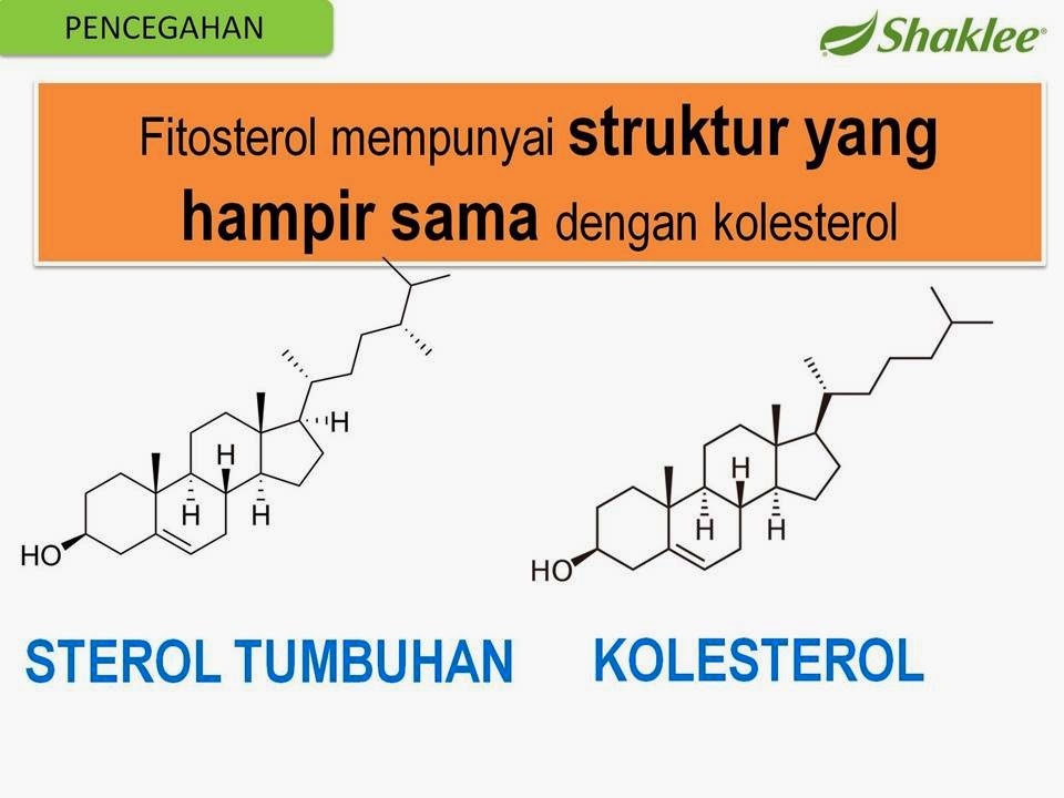 Phytocol ST: Produk Terbaru Shaklee Untuk Menghalang Serapan Kolestrol ...