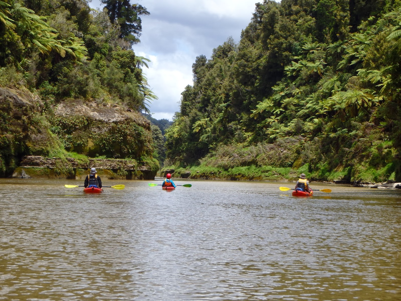 Saratops: Nomadic Sculptress: Kayaking the Whanganui River: 237km and ...