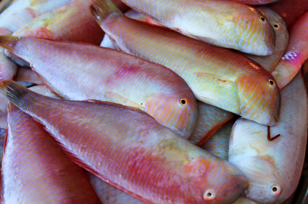 YOLANDA PINCHOLOS COOKING: Es tiempo de "raons"