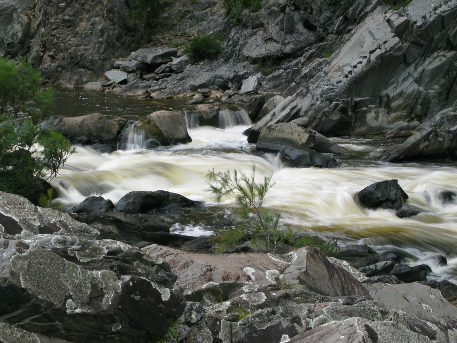 Darren M: WELCOME REEF TO SEWELLS POINT