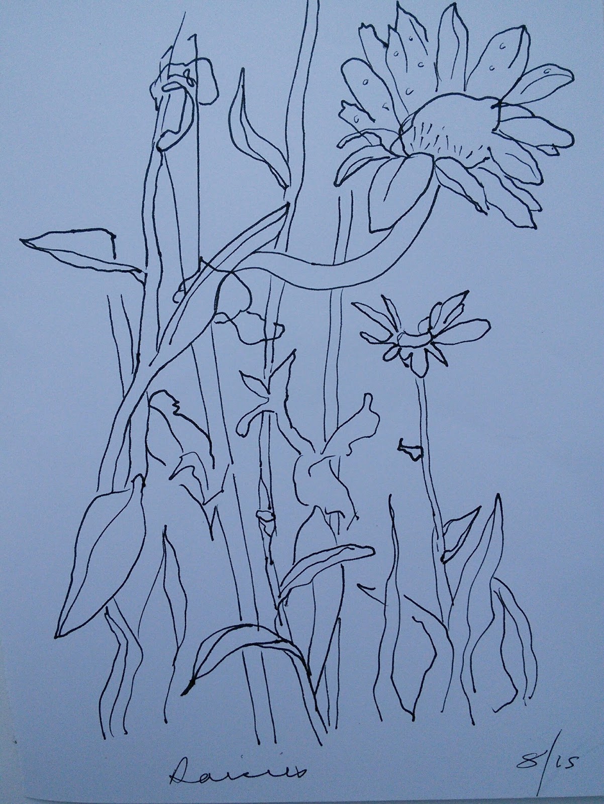 Art, the Beautiful Metaphor: Drawings