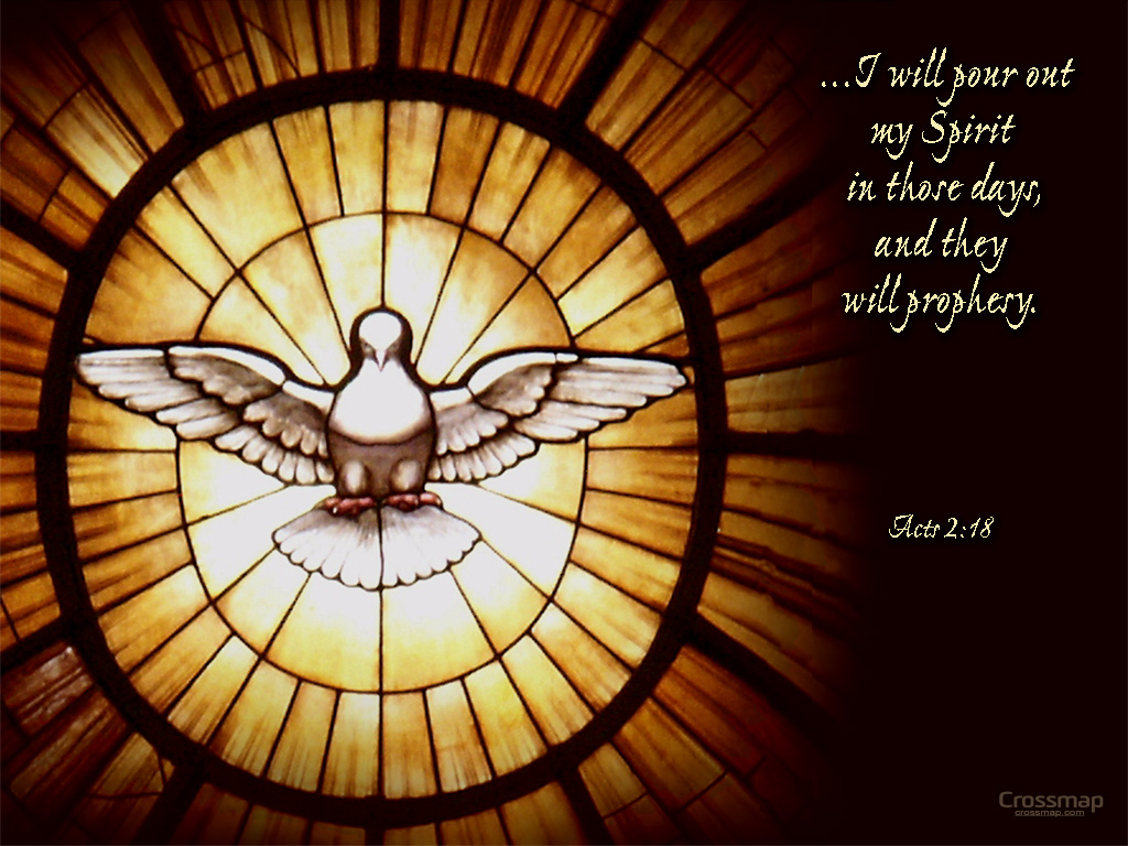 MERPATI INJIL ~ WALLPAPER KRISTIANI