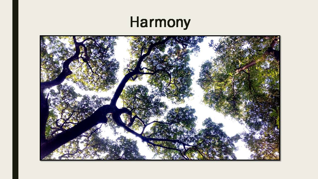 MIL ePortfolio: Visual Design Principles