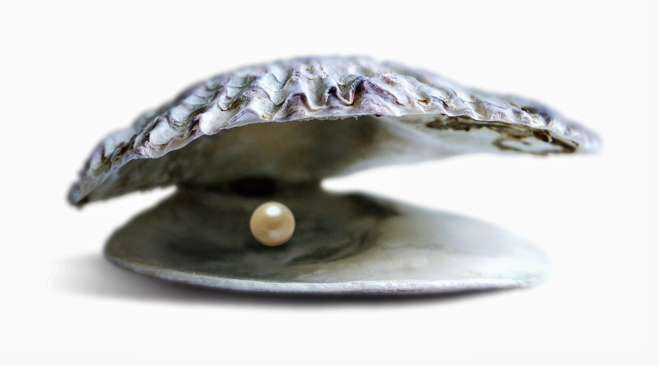 Das Leben ist Bunt: Die Perle ...