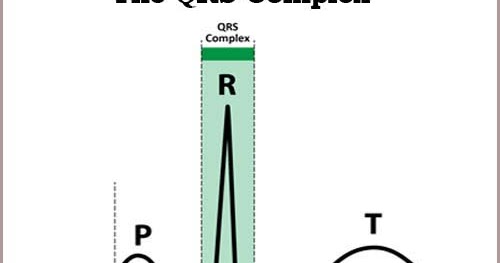 How to read an Electrocardiogram (ECG) - Part 5, The QRS Complex ...