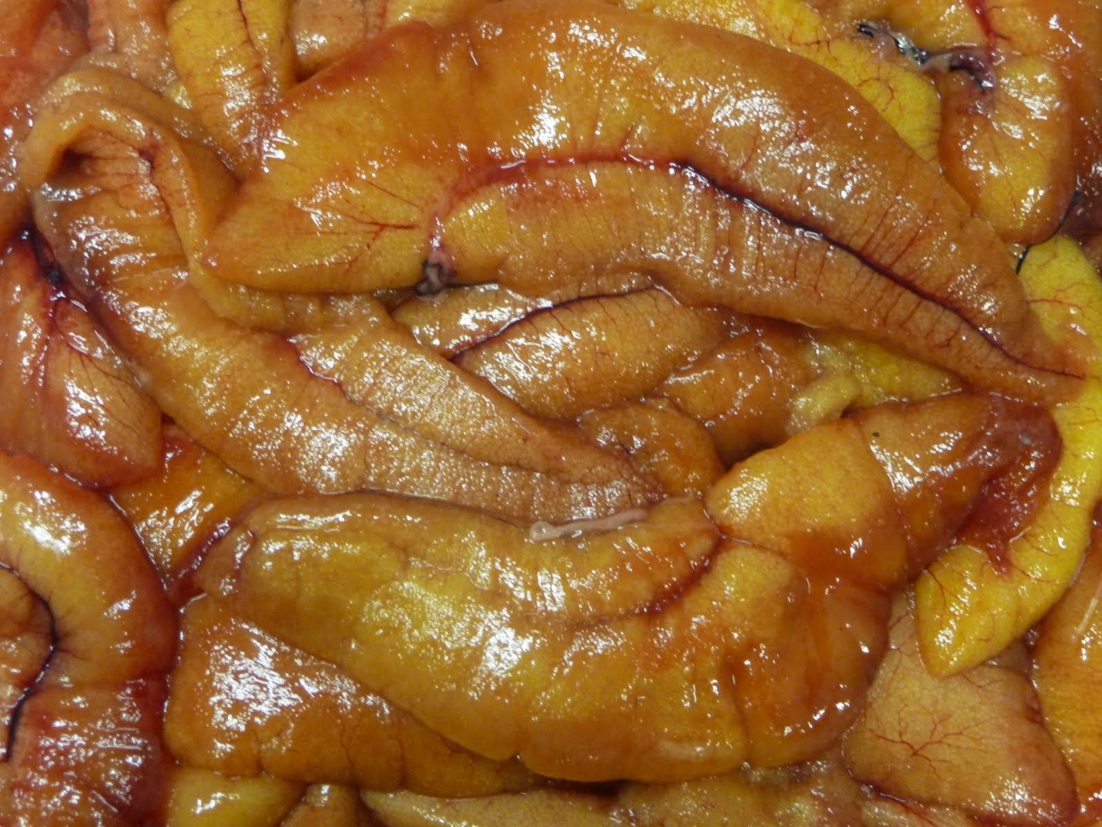 Virginia Living Museum | Are You Feeding? | Virginia Living Museum