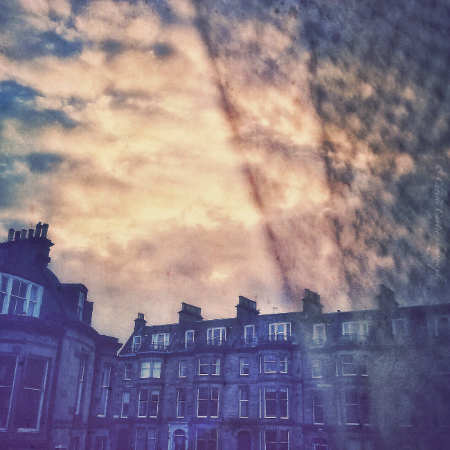 The window as a metaphor ~ Sweetpea Path