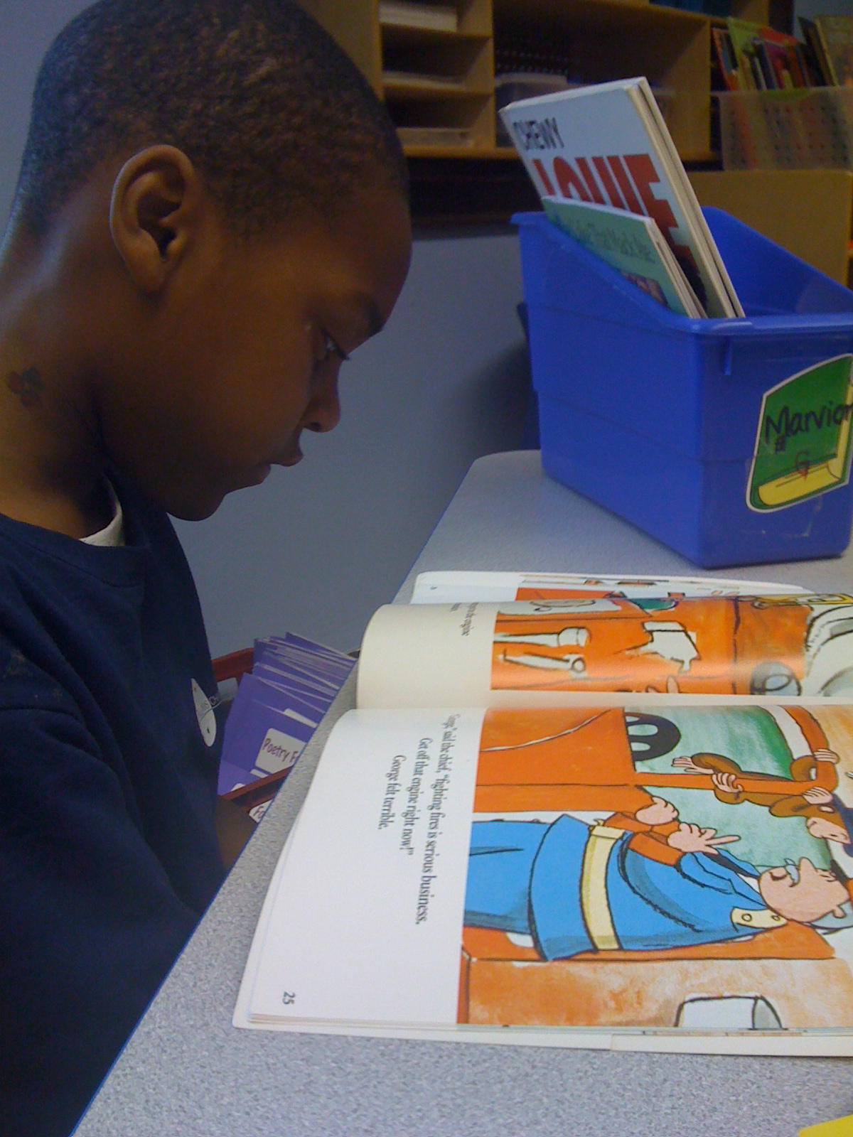 Independent Reading in the Balanced Literacy Classroom: Materials ...