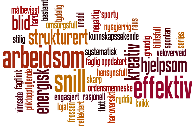 Kjerstis skoleblogg: Personlighet, ledelse og samarbeid!