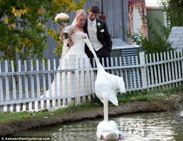 Funchest: Worst wedding photos ever (6 pics)