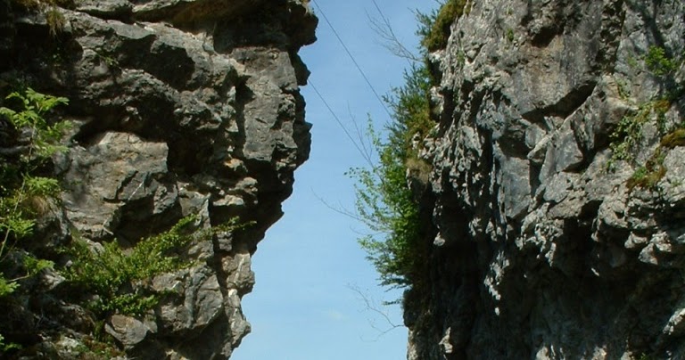 French Vocabulary Illustrated: défilé