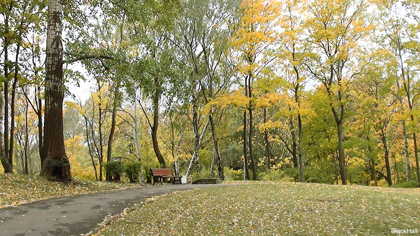 Rudens #1 - PhotoBlogSite