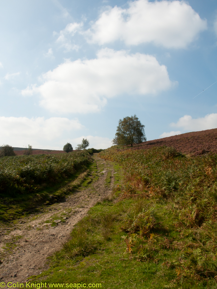 Postcards from Sussex: Lathkil Hotel and the River Derwent